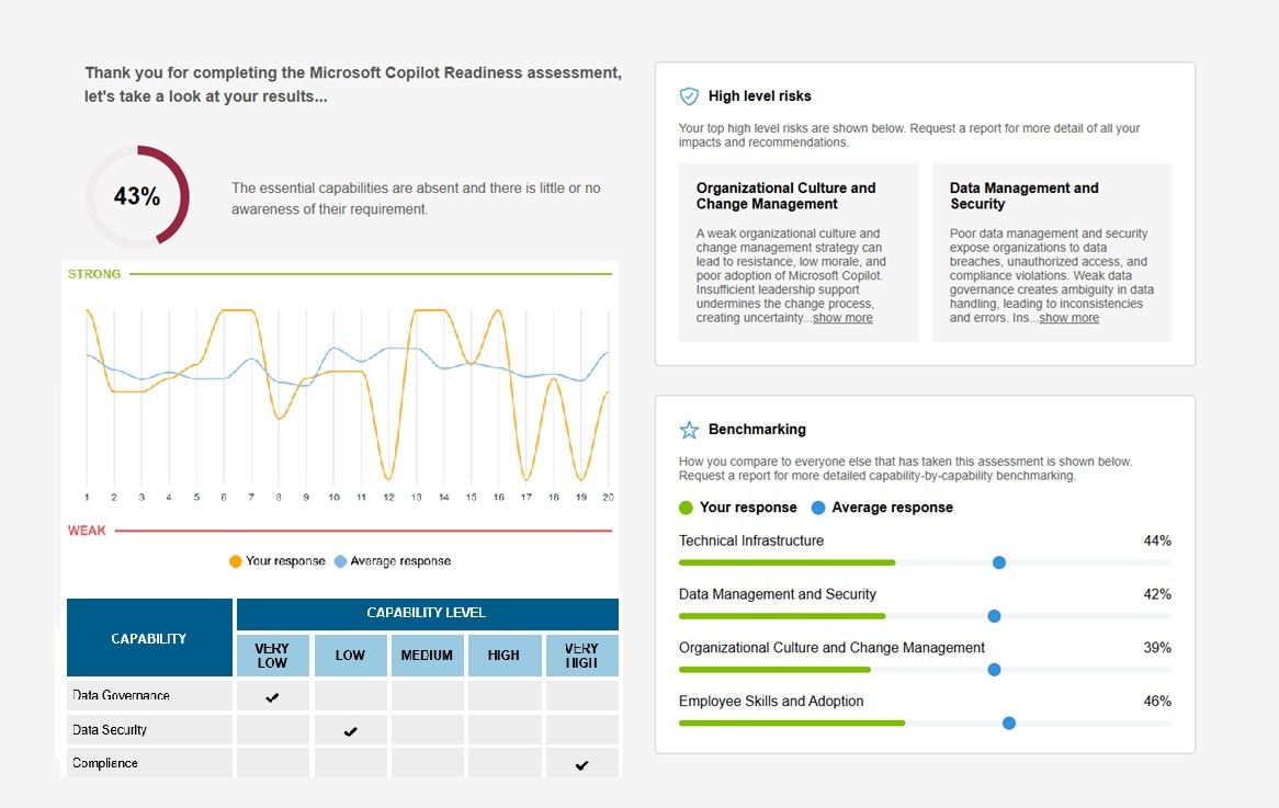 Copilot Readiness Assessment